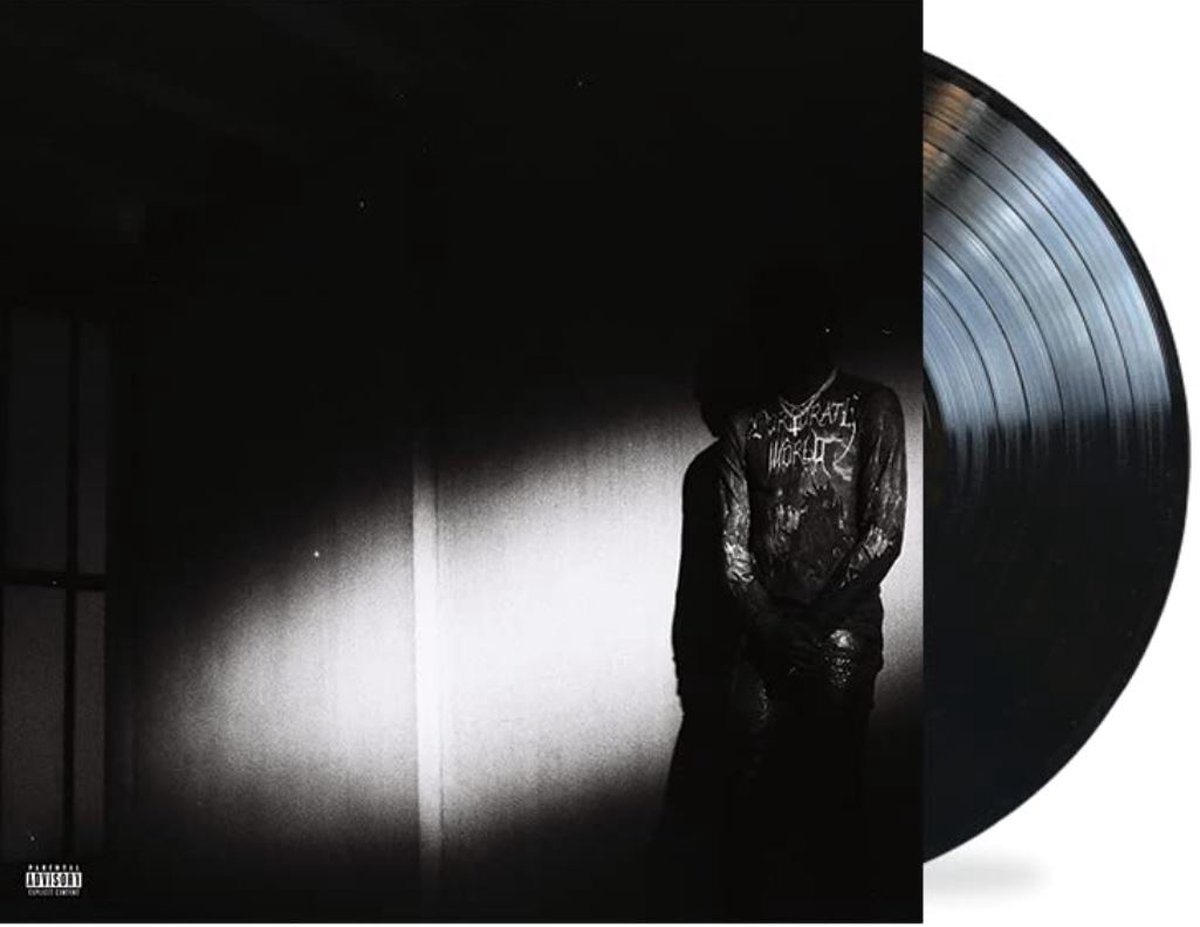 Destroy Lonely - No Stylist (LP), Destroy Lonely | Muziek | bol