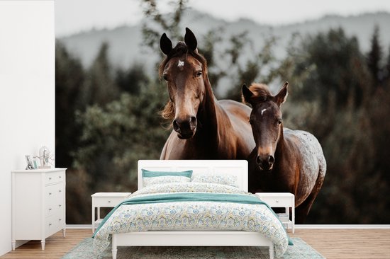 Behang - Fotobehang Paarden - Bos - Berg - Breedte 600 cm x hoogte 400 ...