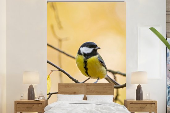 Behang - Fotobehang Koolmees - Tak - Vogel - Dieren - Breedte 180 cm x ...