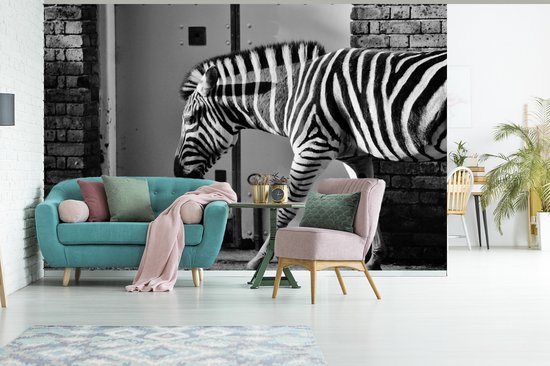 Behang - Fotobehang Zebra - Muur - Deur - Dieren - Zwart wit - Breedte ...