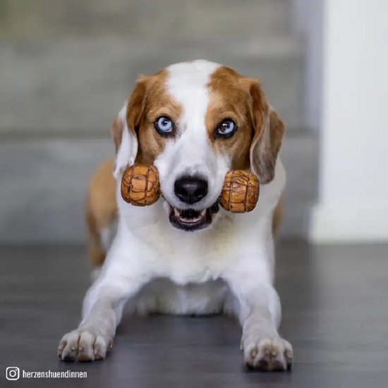 Olivi kauw bot hond - hufterproof - natuurlijk product - sterk - honden ...