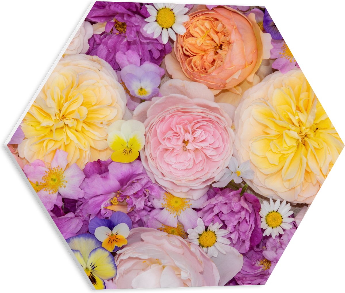 WallClassics - Plaque de Mousse PVC Hexagone - Collage de Différentes ...