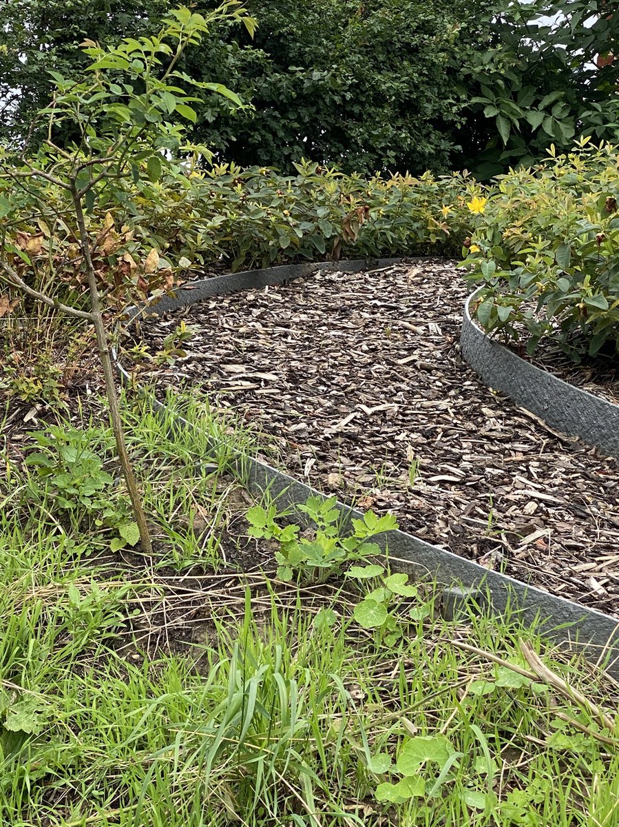 Black Beauty Ecolat - Recyflex - Recy Board Rol 25m - 14cm Grijs | bol.com