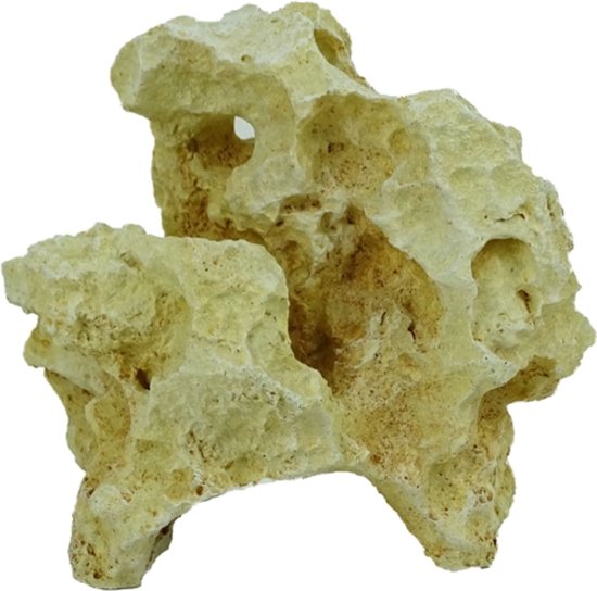 Maan steen - 15.8x10.5x14.5 cm - Aquariumdecoratie | bol