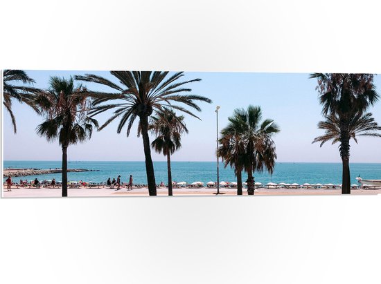 WallClassics - PVC Schuimplaat- Rij Palmbomen langs Boulevard - 90x30 ...