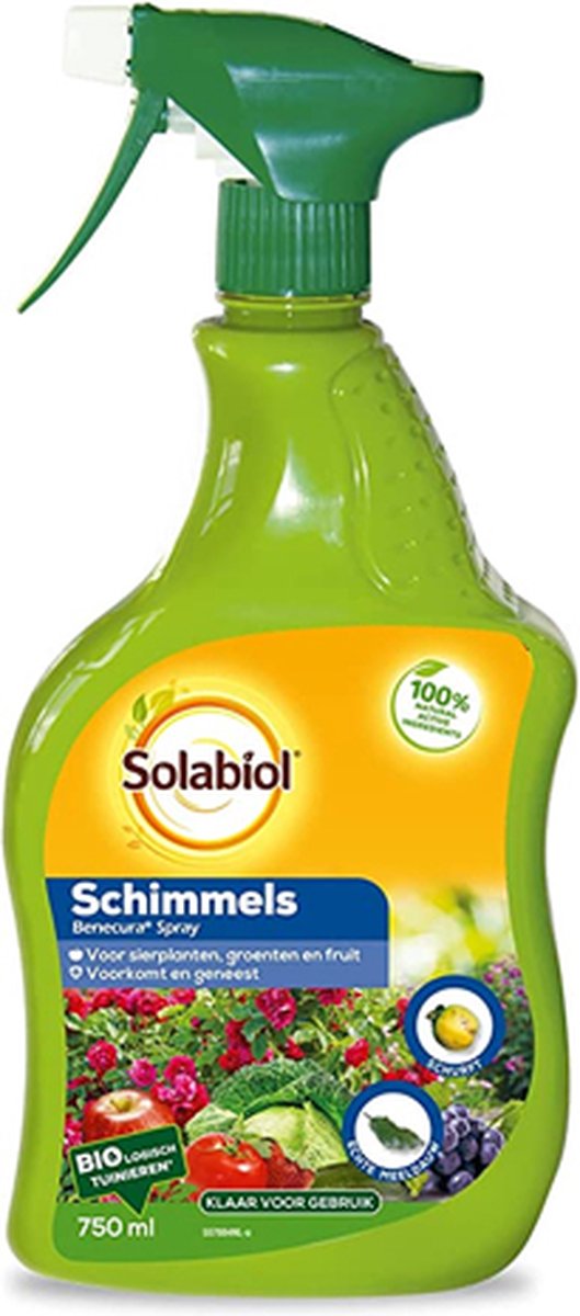 Solabiol Benecura Spray - 750 ml - Schimmel Bestrijdingsmiddel - Voor ...