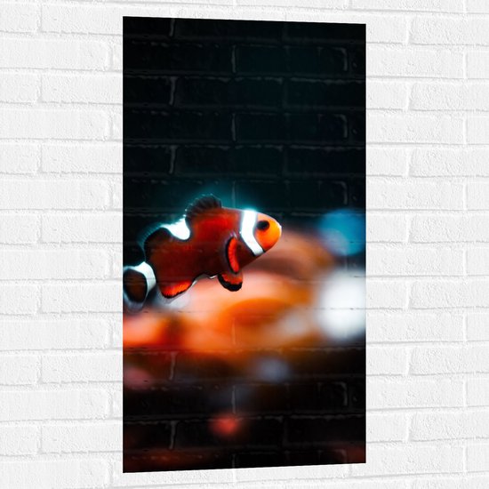 WallClassics - Muursticker - Nemo Vis - 50x100 cm Foto op Muursticker | bol