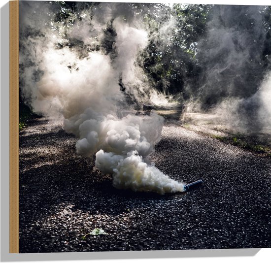 Hout - Rookbom op de Weg - 50x50 cm - 9 mm dik - Foto op Hout (Met ...