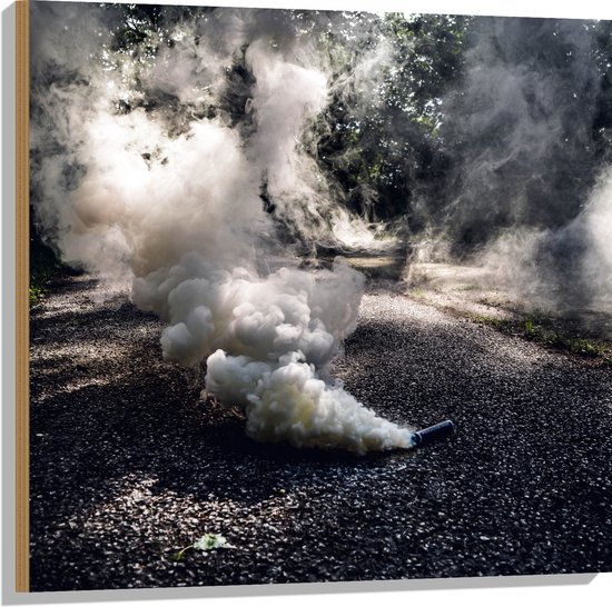 Hout - Rookbom op de Weg - 80x80 cm - 9 mm dik - Foto op Hout (Met ...