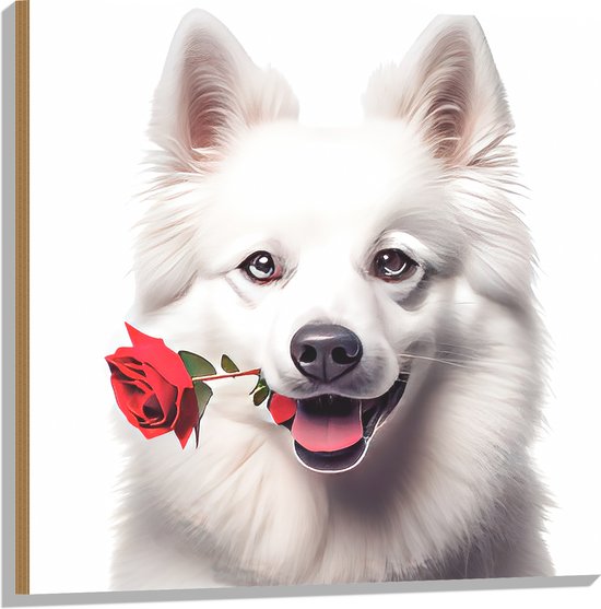 Hout - Tekening van Romantische Eskimo Hond met Roos tegen Witte ...
