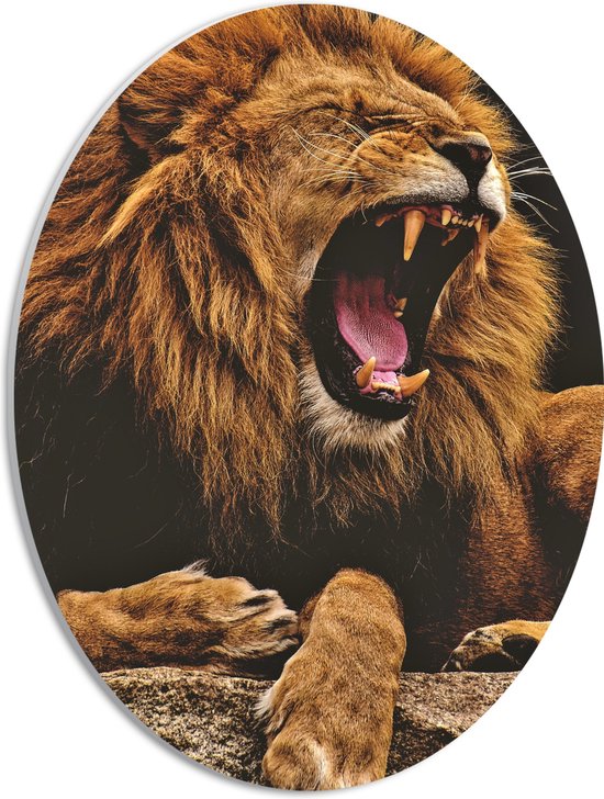 WallClassics - Plaque Ovale en Mousse PVC - Lion avec la Gueule Ouverte - Photo 30x40... | bol.com