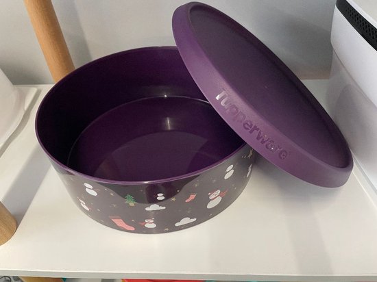 Tupperware koekjesdoos "winter" (grote versie | bol.com