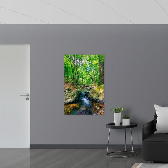 Hout - Bos met een Stromend Beekje tussen Stenen - 80x120 cm - 9 mm dik ...