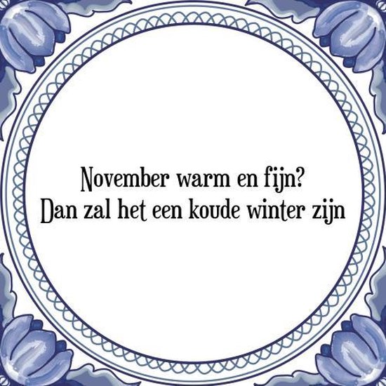 Tegeltje met Spreuk (Tegeltjeswijsheid): November warm en fijn? Dan zal ...