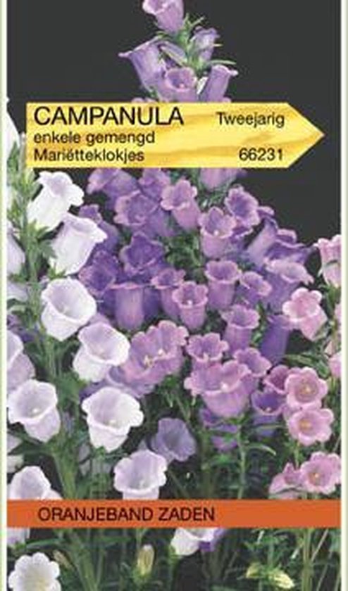 Campanula, Mariëtteklokje enkelbloemig gemengd | bol