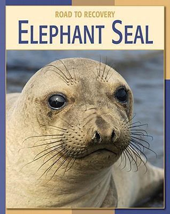 Elephant Seal, Susan Gray | 9781602790384 | Boeken | bol.com