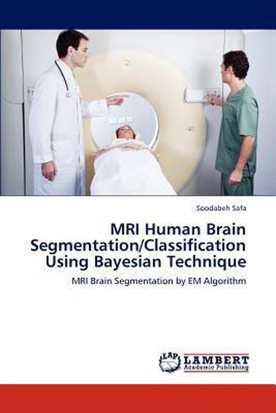 MRI Human Brain Segmentation/Classification Using Bayesian Technique ...