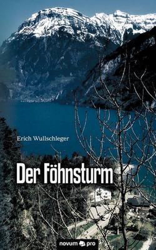 Der F Hnsturm, Erich Wullschleger | 9783990265864 | Boeken | bol