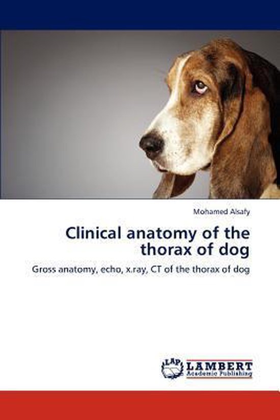 Clinical Anatomy of the Thorax of Dog | 9783659286513 | Alsafy Mohamed ...