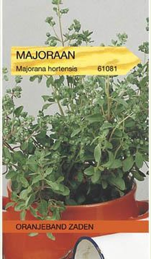 Majoraan | bol