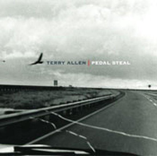 Pedal Steel, Terry Allen | Muziek | bol