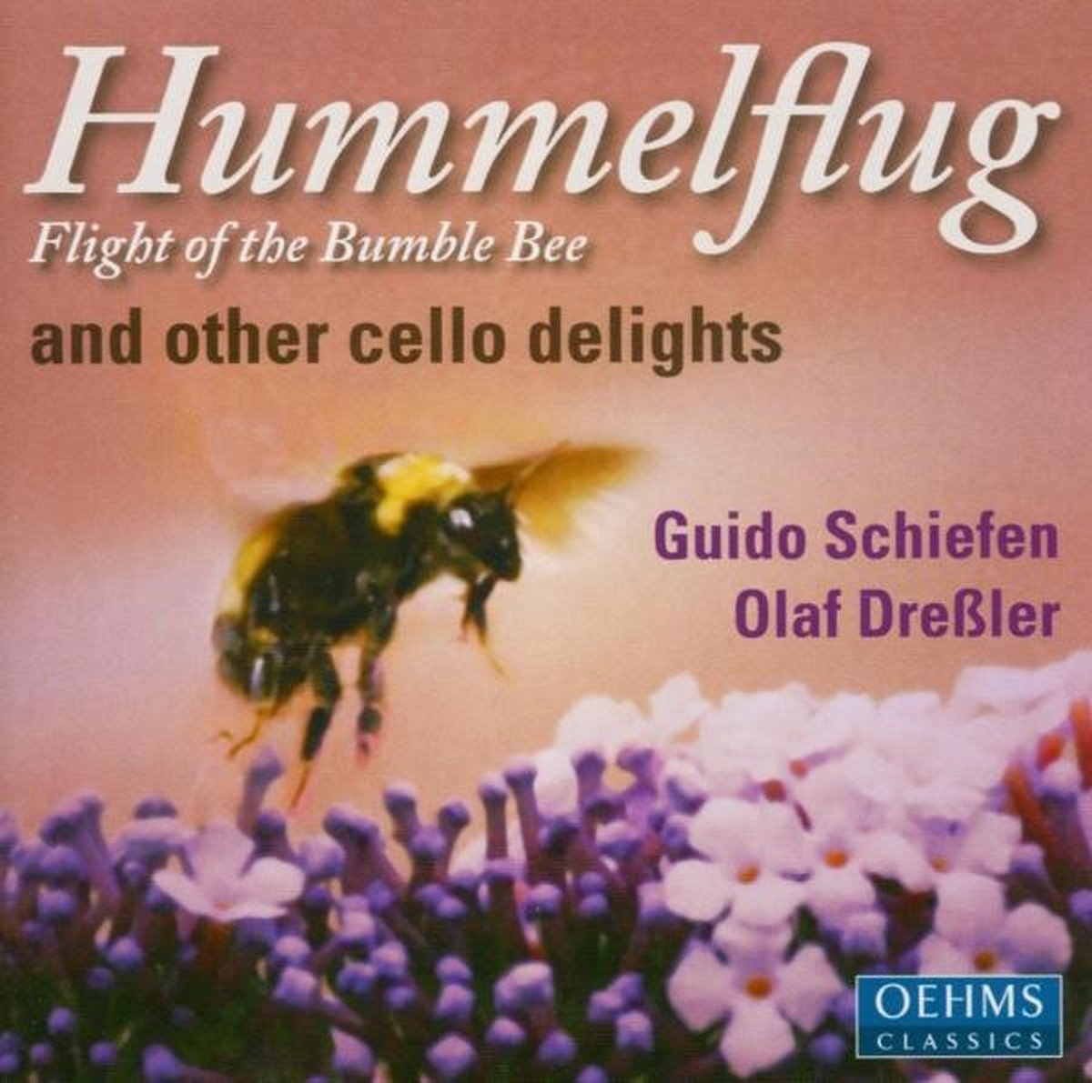 Guido Schiefen & Olaf Dressler - Hummelflug, Flight Of The Bumble Bee ...