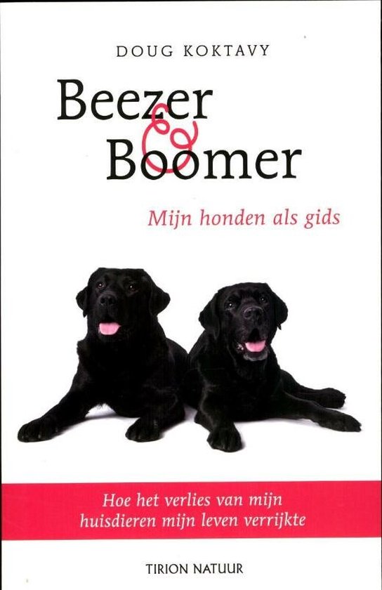 Beezer & Boomer, Doug Koktavy | 9789052102559 | Boeken | bol.com