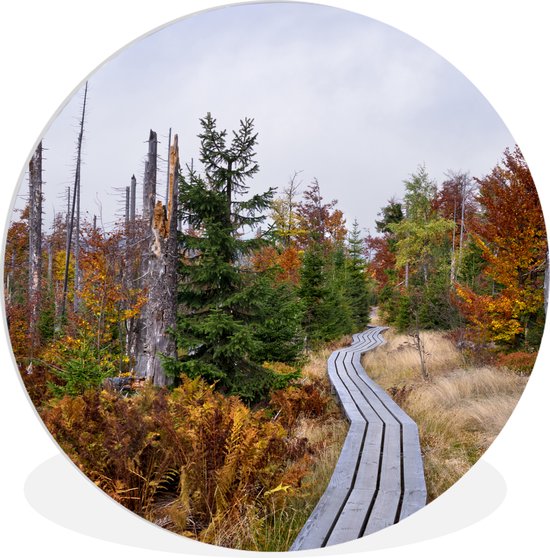 Wall Circle - Wall Circle Indoor - Passerelle en bois à travers la ...