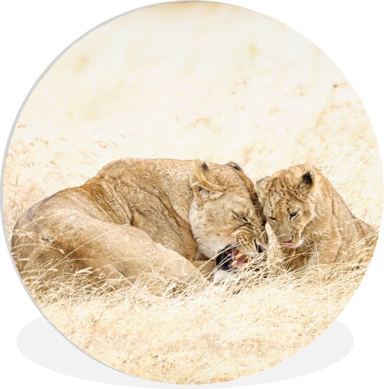 Wall Circle - Wall Circle Indoor - Mère Lion avec son petit dans l ...