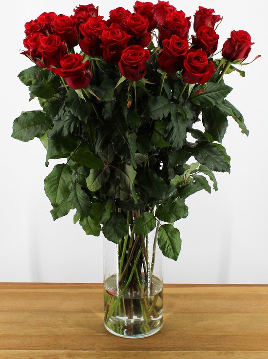 Red Eagle Rozen - Rode rozen - 24 stuks - 70 centimeter lang - Vers van ...