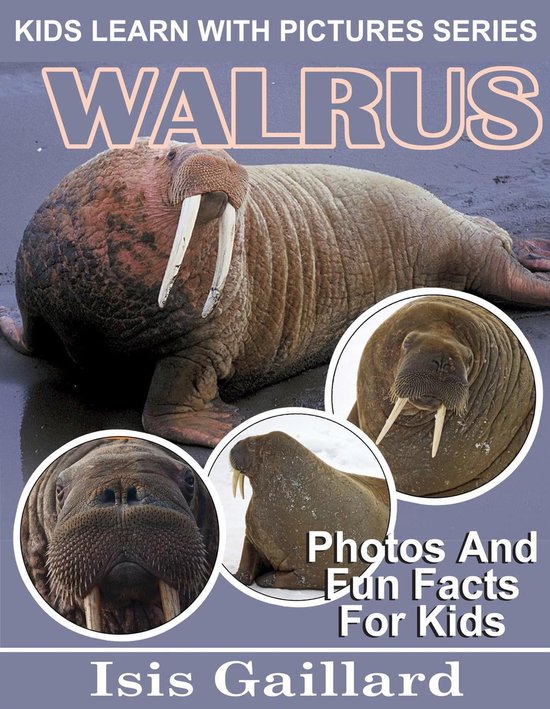 Kids Learn With Pictures 93 - Walrus Photos and Fun Facts for Kids ...