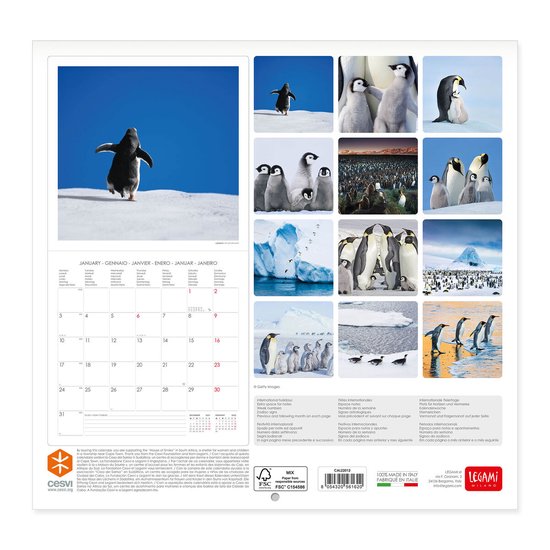 Legami Penguins 2022 kalender | 8054320561620 | Boeken | bol.com