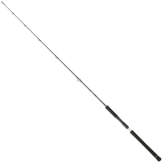 Daiwa Legalis Jigging Hengel Zilver 1.91 m / 120 g | bol