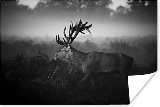 Poster Hert loopt door de struiken - zwart wit - 60x40 cm | bol.com