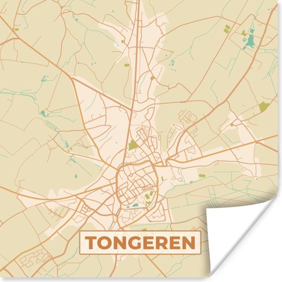 Poster Retro - Tongeren - Kaart - Plattegrond - Stadskaart - 50x50 cm | bol