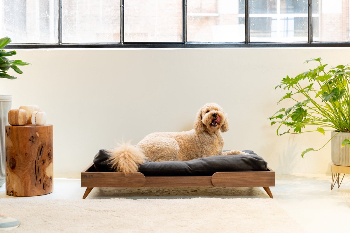 KAMIEL design houten hondenbed – Luxe hondenmand XL : 117x73x20cm ...