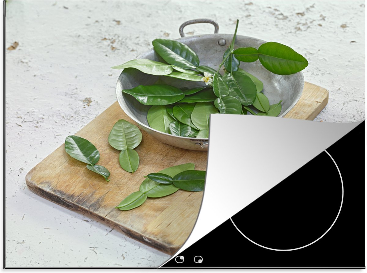 Inductie beschermer - Inductie Mat - Foto van de djeroek poeroet in een ...