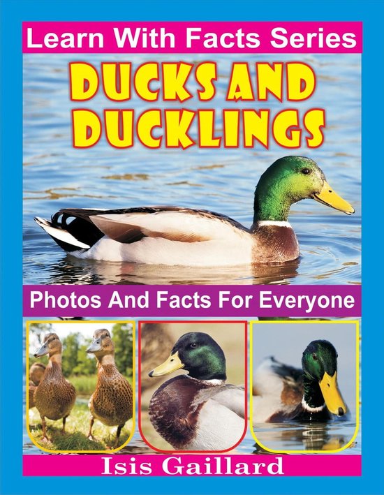 Learn With Facts Series 14 - Ducks and Ducklings Photos and Facts for ...
