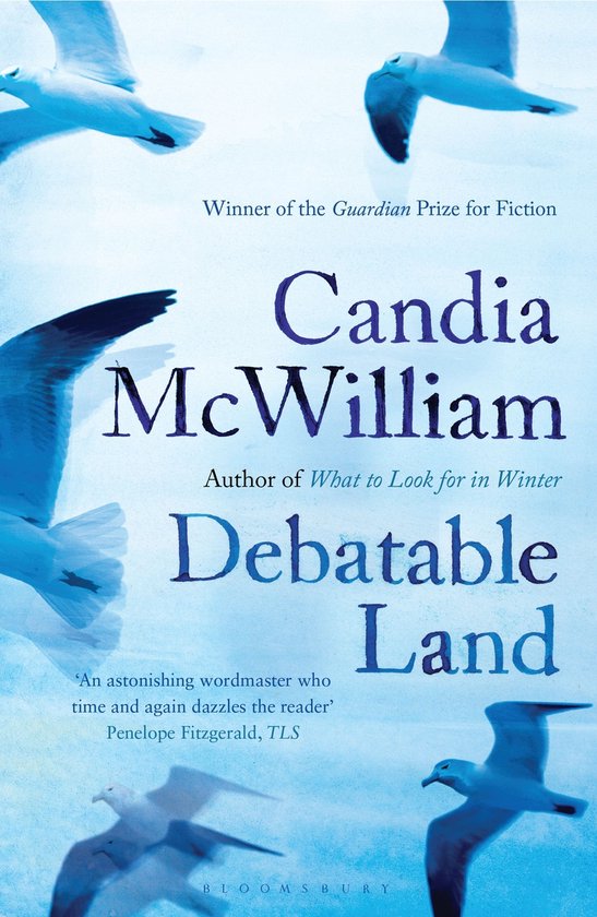 Debatable Land (ebook), Candia Mcwilliam | 9781408826973 | Boeken | bol