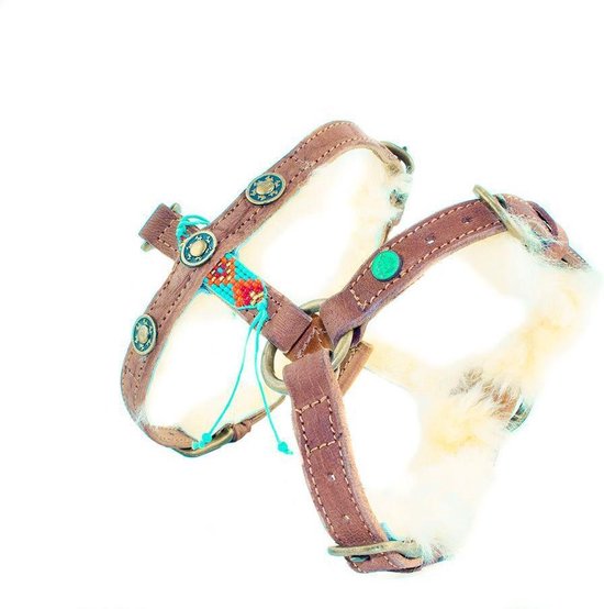 DWAM Paddy Lee Hondentuigje L | bol