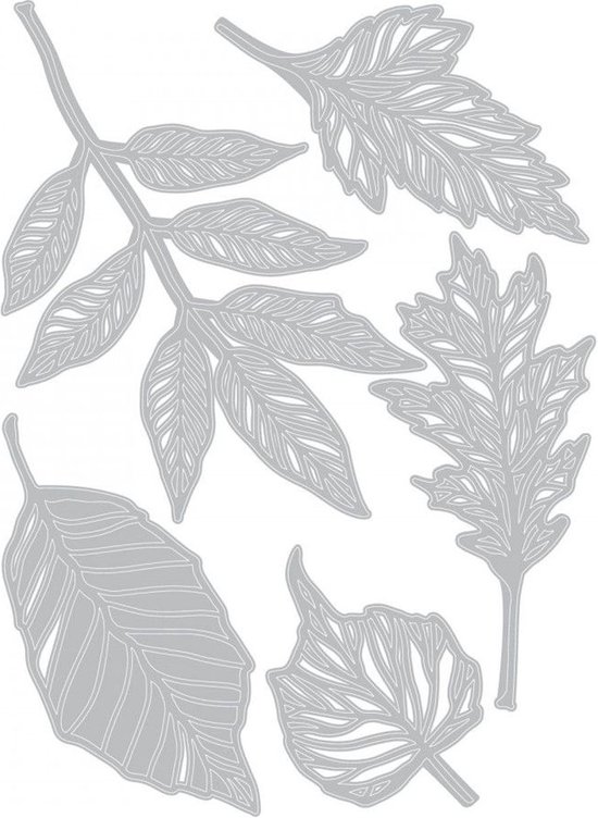 Sizzix Thinlits Snijmal - Geraamte Van Bladeren - 5 stuks | bol.com