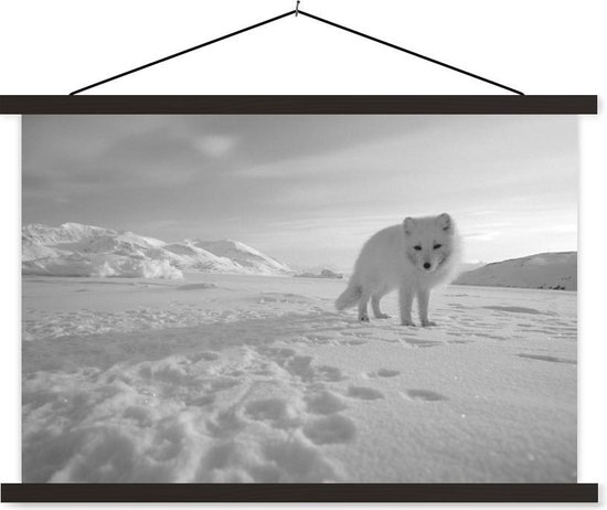 Poolvos in de sneeuw - zwart wit | bol.com