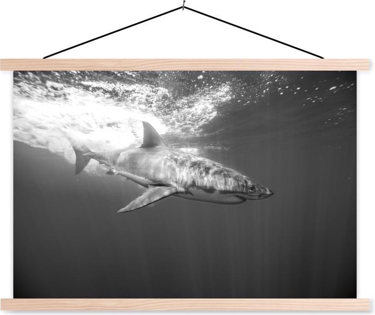 Witte haai in de oceaan - zwart wit | bol.com