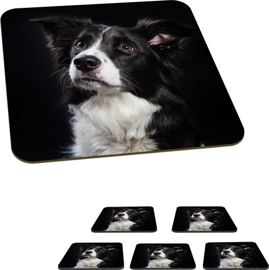 Onderzetters voor glazen - Portretfoto van een border collie - 10x10 cm ...