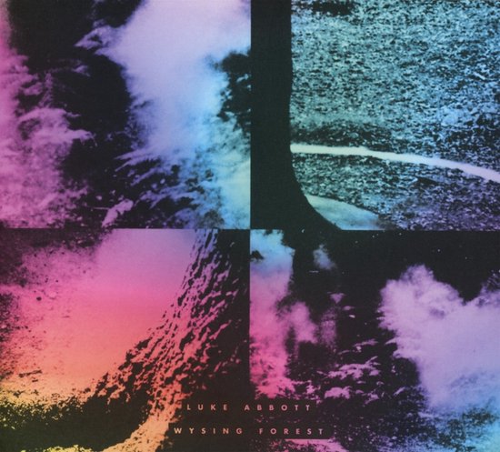 Luke Abbott - Wysing Forest (CD), Luke Abbott | Muziek | bol