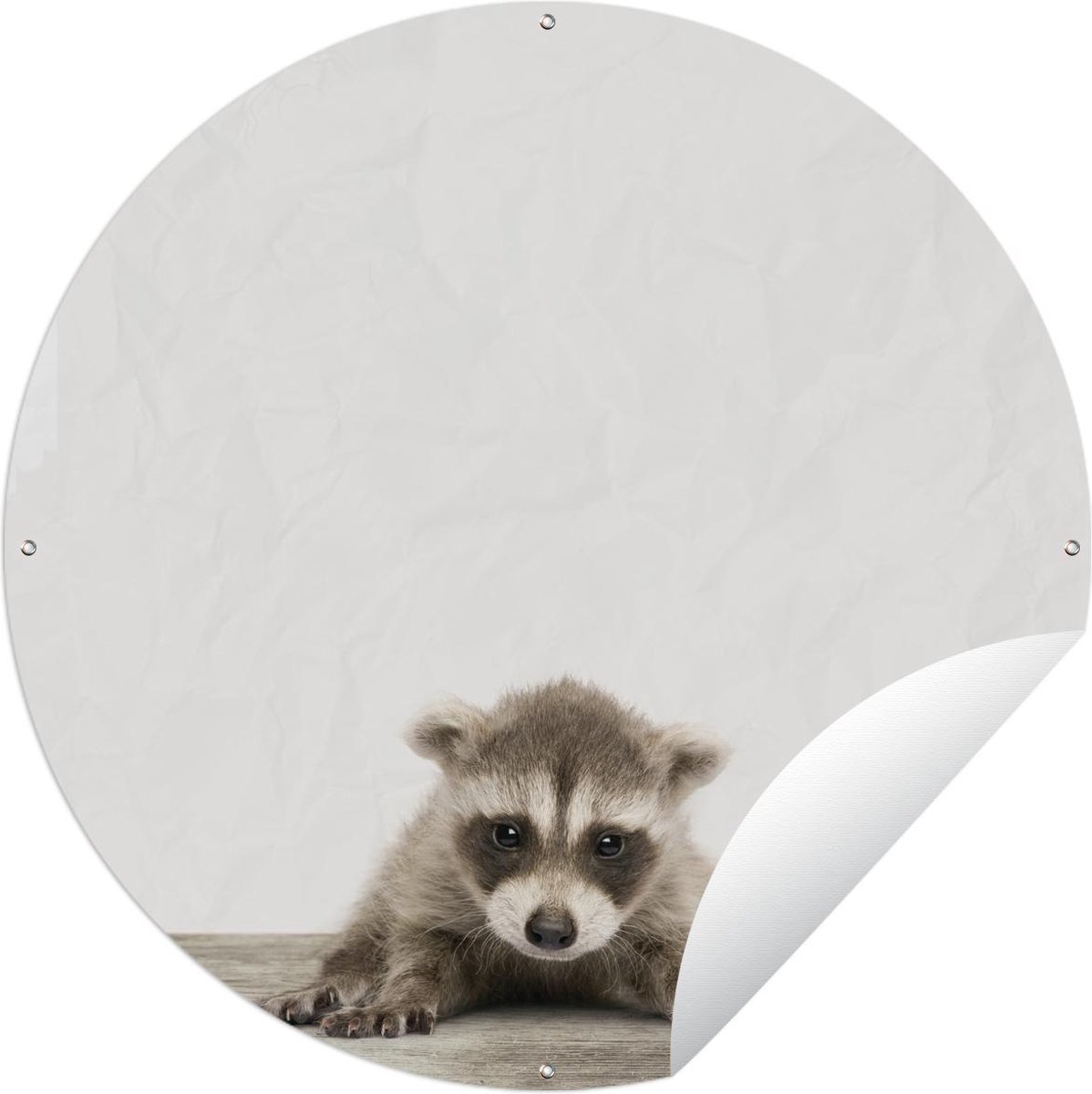 Animaux du Cercle de Jardin - Raton Laveur - Wit - Bébé - 150x150 cm ...