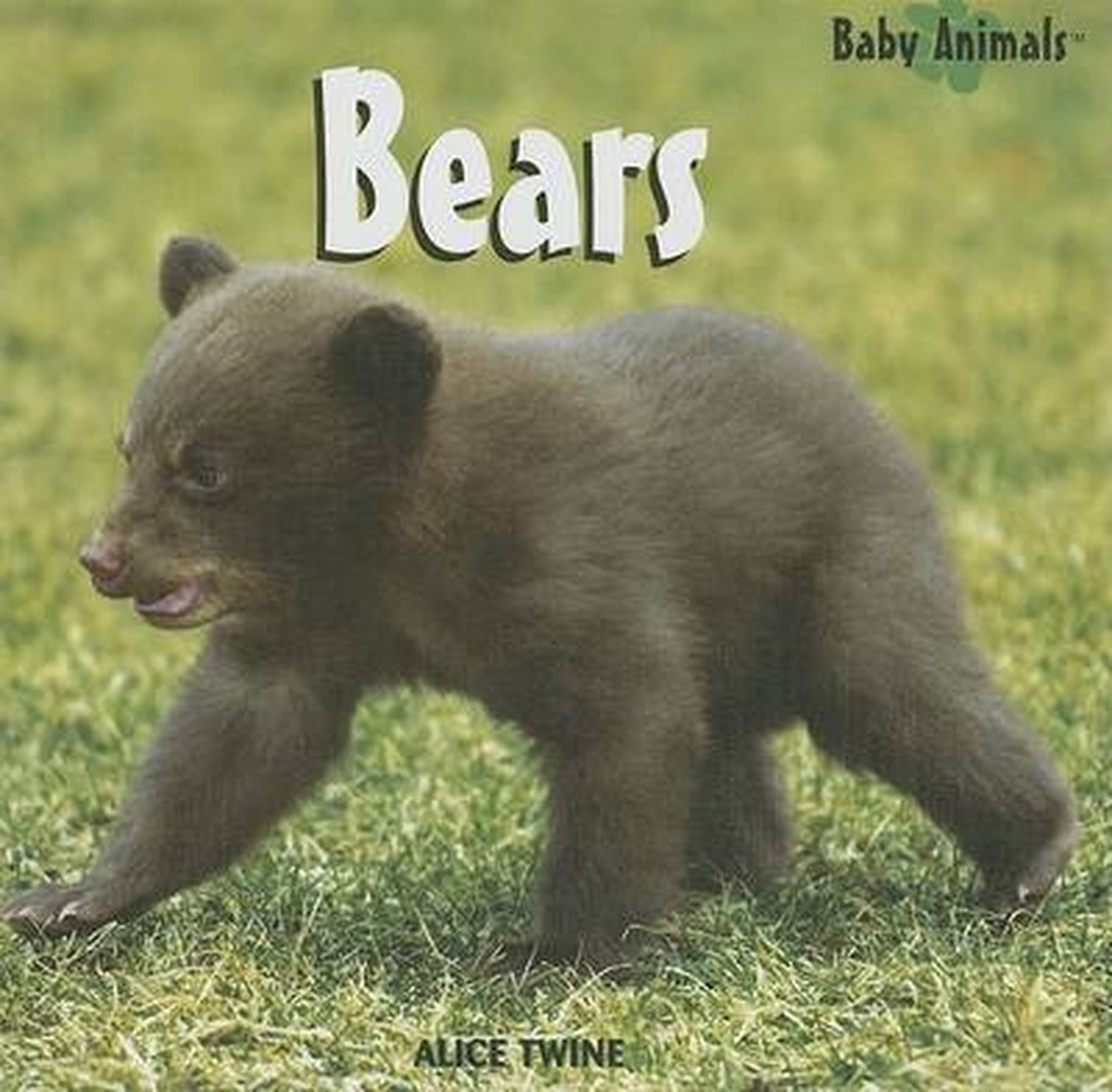 Bears, Alice Twine | 9781404237704 | Boeken | bol