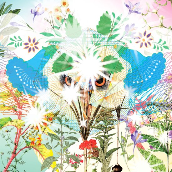 OOIOO - Gamel (CD), Ooioo | Muziek | bol