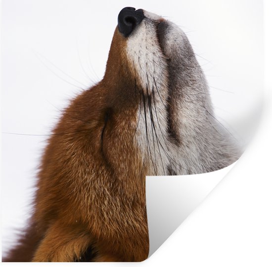 Muurstickers - Sticker Folie - Vos - Neus - Wit - 120x120 cm - Plakfolie -... | bol