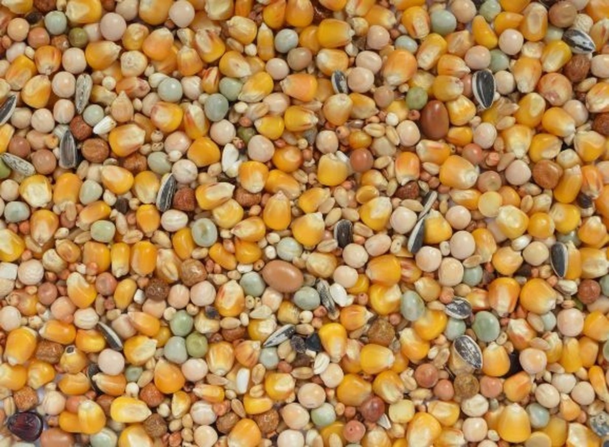 Mariman Standaard 4 Seizoenen 25 kg | bol.com